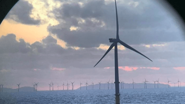Orsted Enters Irish Offshore Wind Market | World Ports Organization Orsted Enters Irish Offshore Wind Market | World Ports Organization